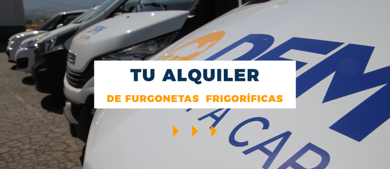 Alquiler de coches y furgonetas | DFM Rent a Car