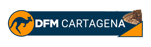 Alquiler de coches y furgonetas | DFM Rent a Car